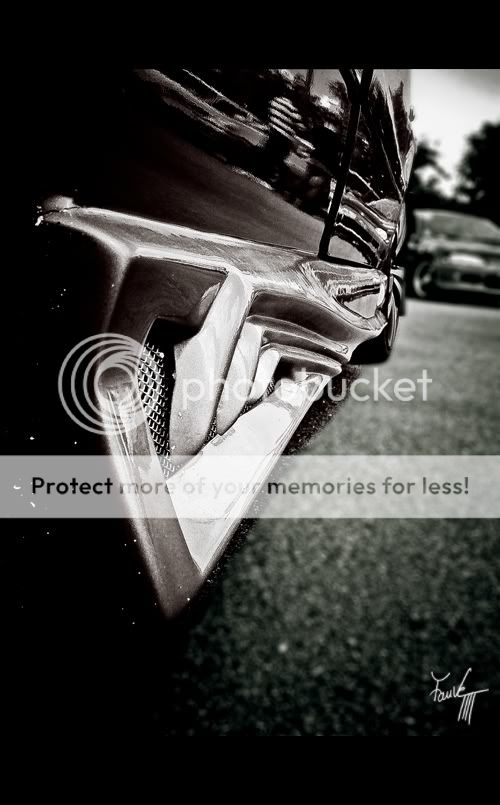 [PHOTO] Ras du Sol - Car - La Fauve