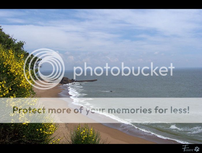 [HISTOIRE ET PATRIMOINE] Saint Marc Sur Mer - La Fauve