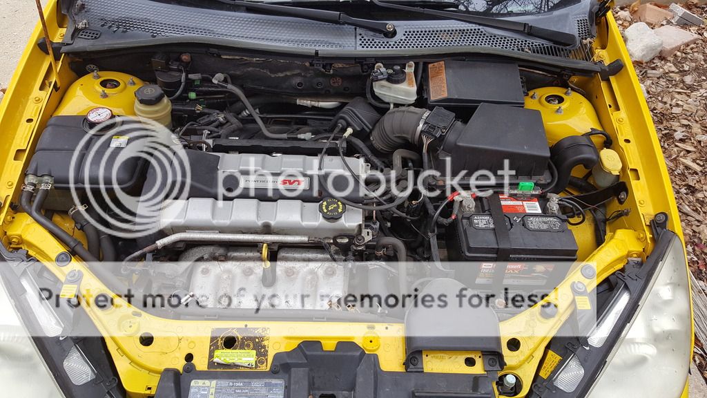 '04 Screaming Yellow SVT Restoration - Code Name Rocket | Focus ...